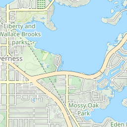 Henderson Lake Topo Map FL, Citrus County (Inverness Area)